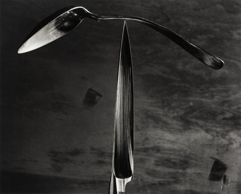 In a Creative Light: The Photographs of Abelardo Morell | Skinner Inc.